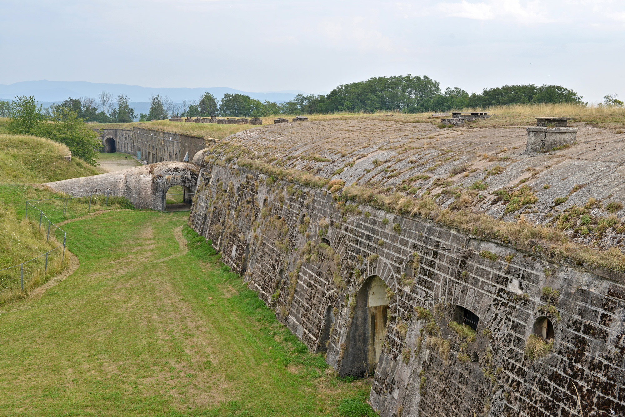 Franchement Forts